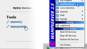 WAMP Server Stack: Localhost for Development and Testing